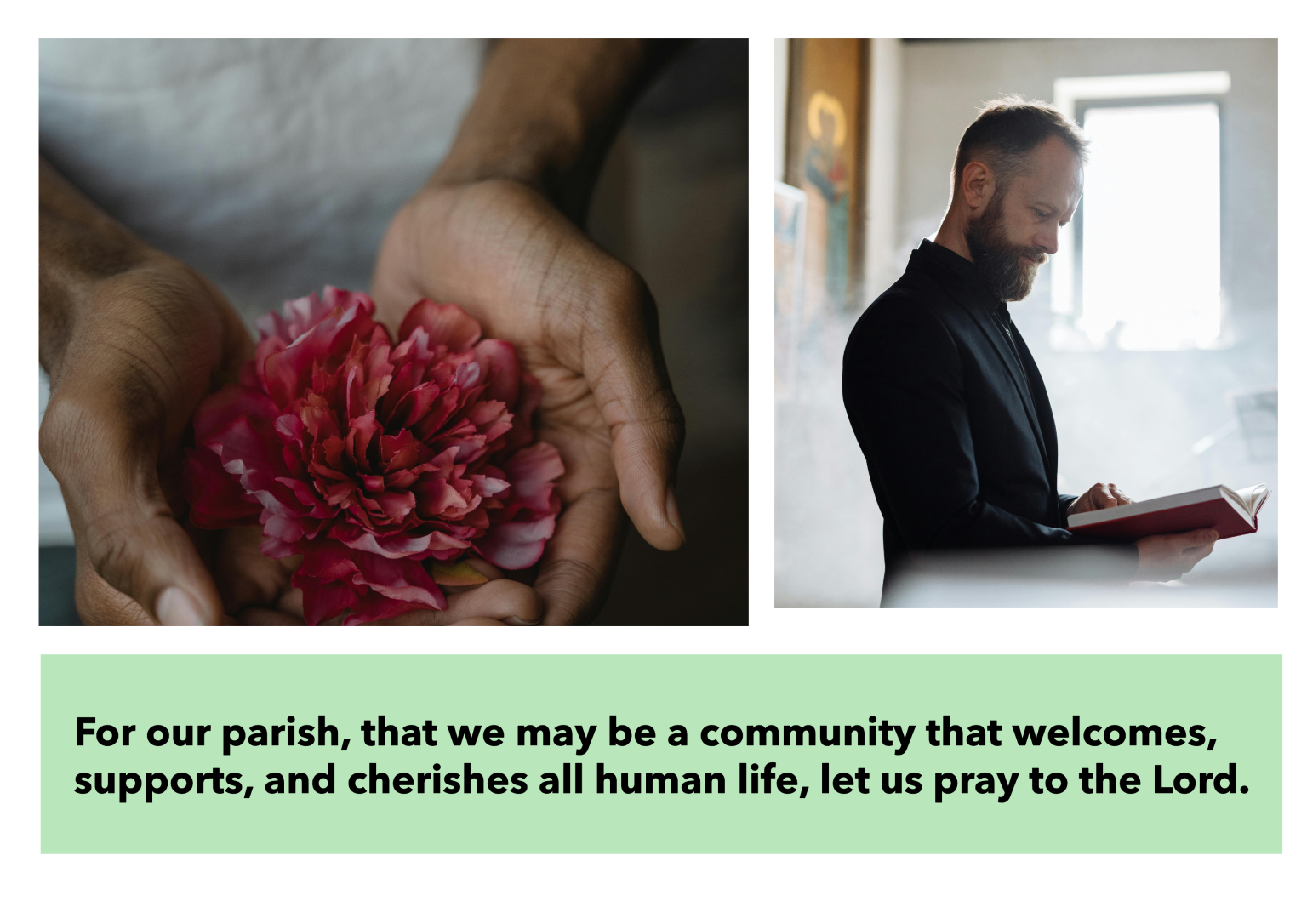 Prayers of the Faithful for Respect Life Sunday - #7 Options - Prayers ...