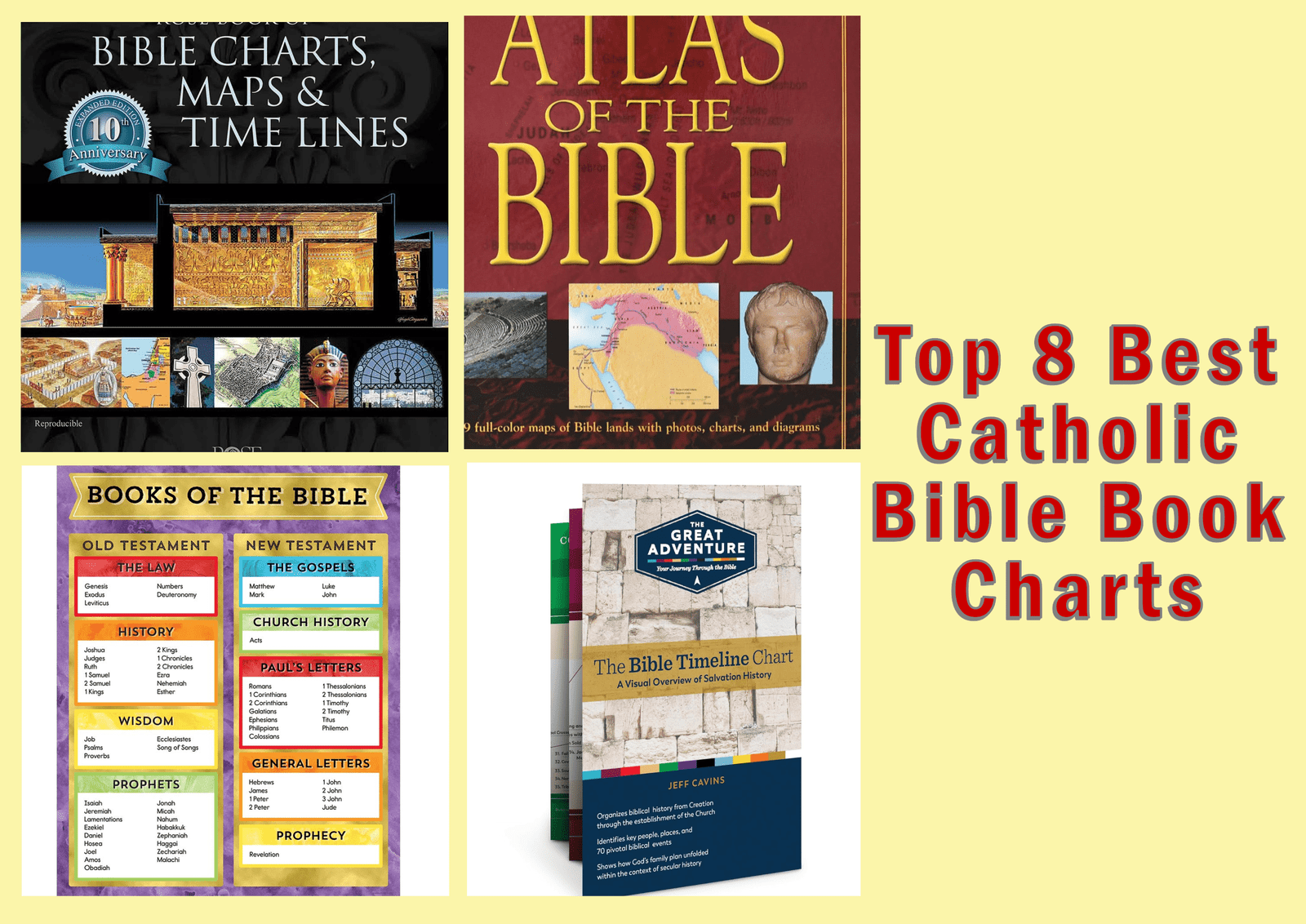 Top 8 Best Catholic Bible Book Charts - Prayers of the Faithful